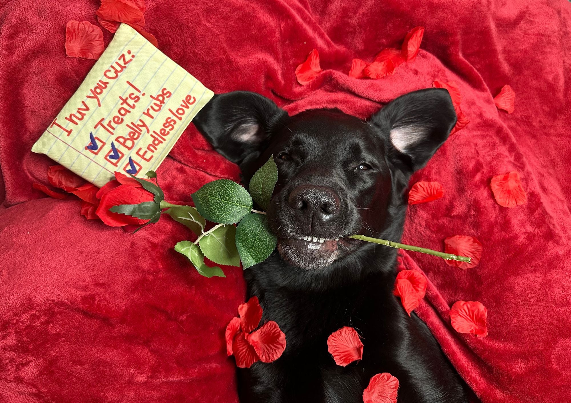 Products – Elvis Bätz