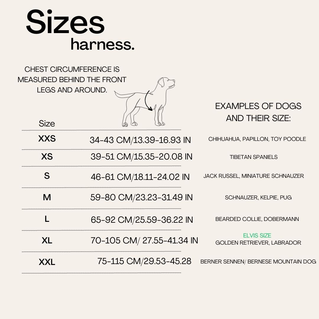 Metizo Harness – Elvis Bätz