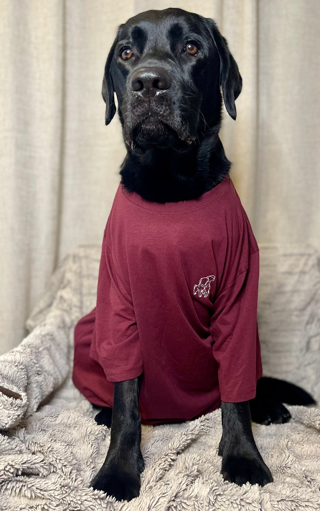 Merchandise – Elvis Bätz